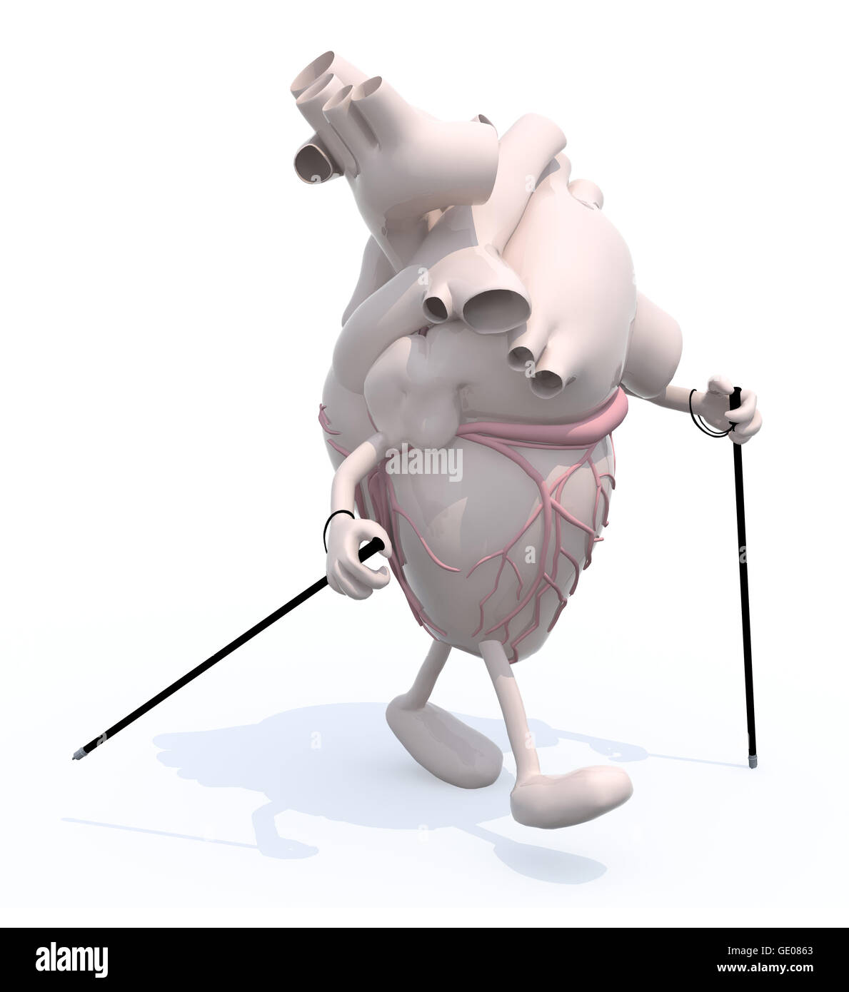 human heart with arms and legs,that's walking with sticks, 3d ...