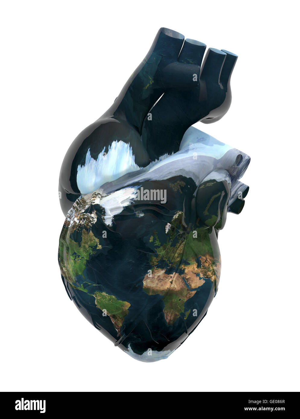 Map of the human heart hi-res stock photography and images - Alamy