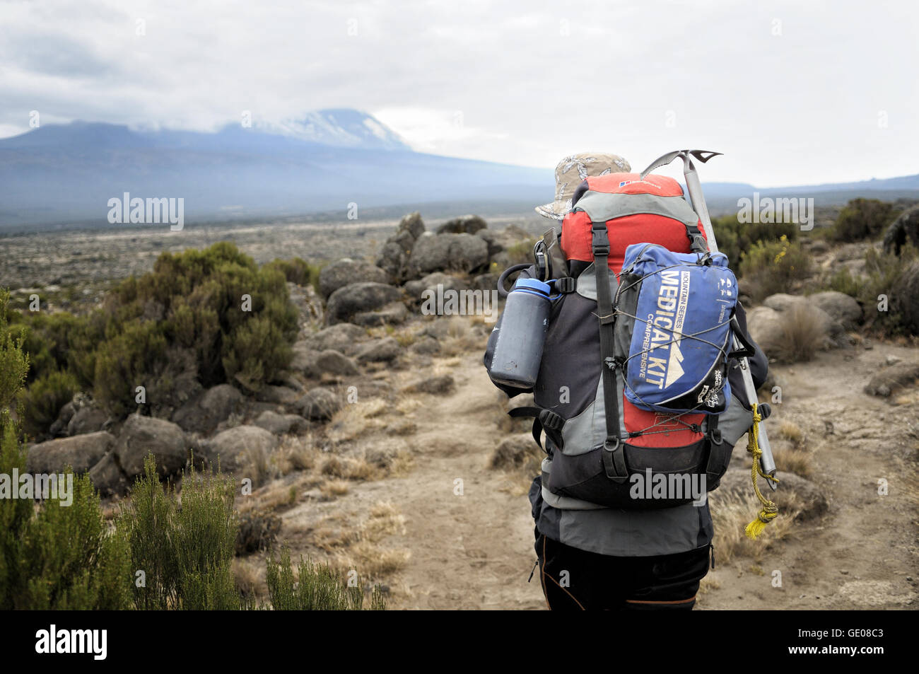 Mountain guide hiking Lemosho trail on Shira plateau, Mount Kilimanjaro ...