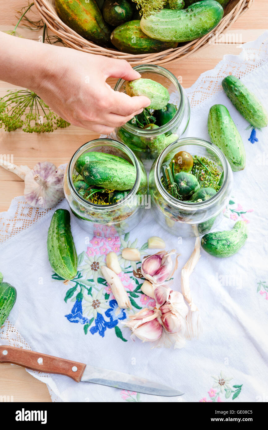 Pickling cucumbers with home garden vegetables and herbs Stock Photo ...