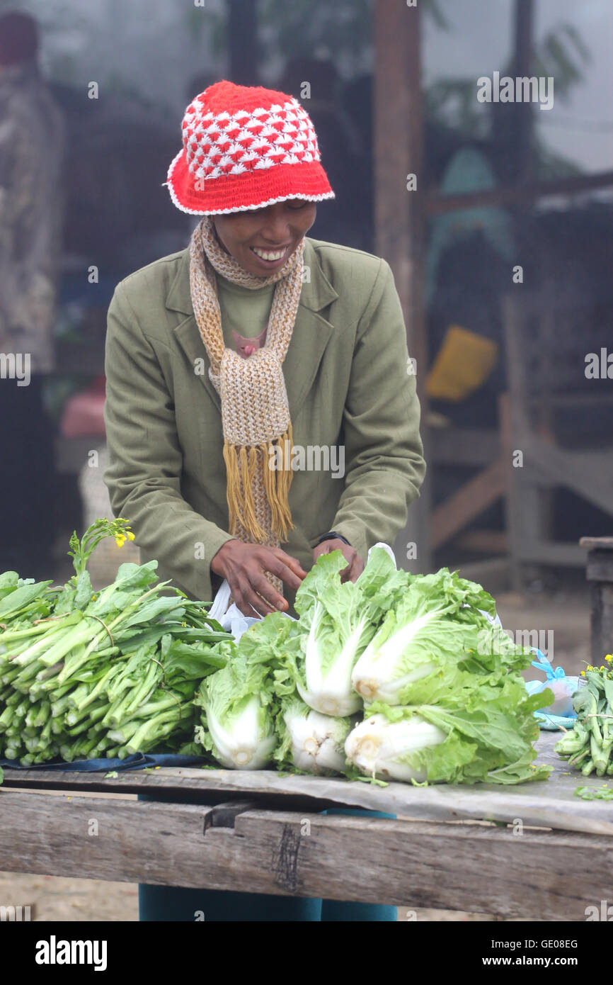 Woman selling vegetables at the local food market in Putao Stock Photo ...
