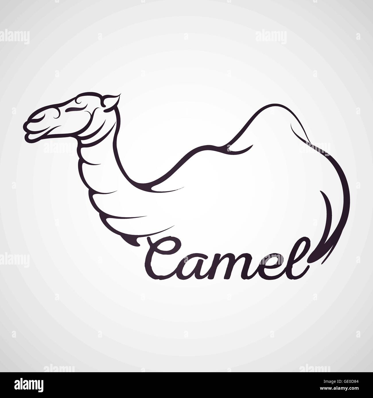 Camel logo hi-res stock photography and images - Alamy