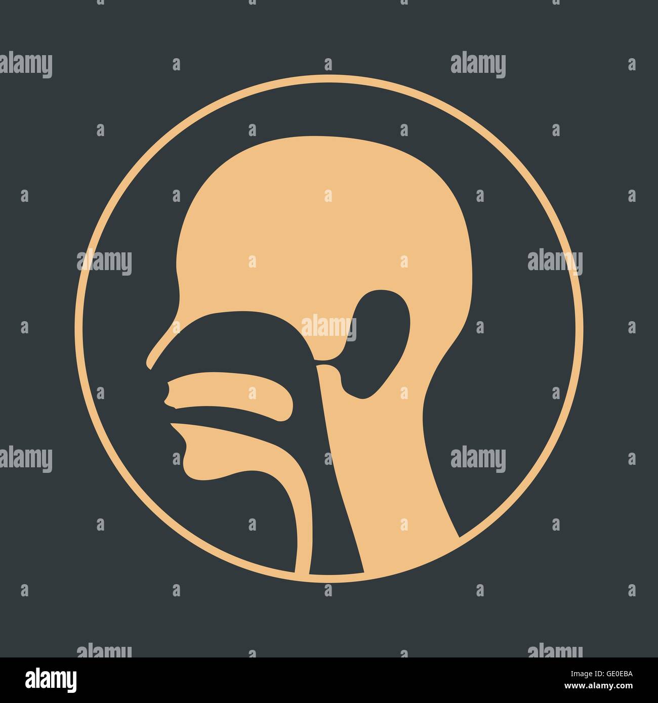 ear nose and throat logo vector Stock Vector Image & Art - Alamy