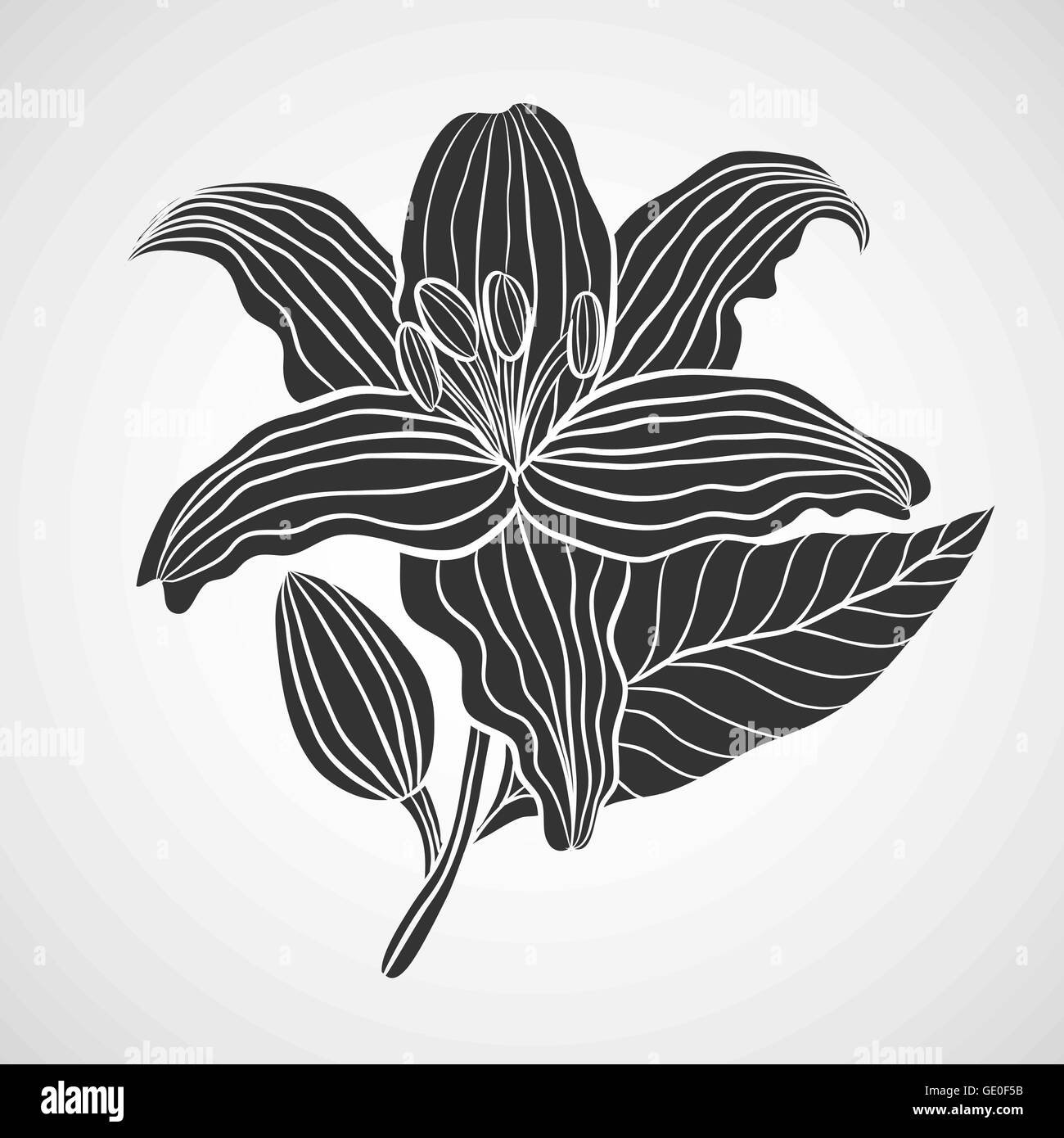 Stylistic flowers hi-res stock photography and images - Alamy