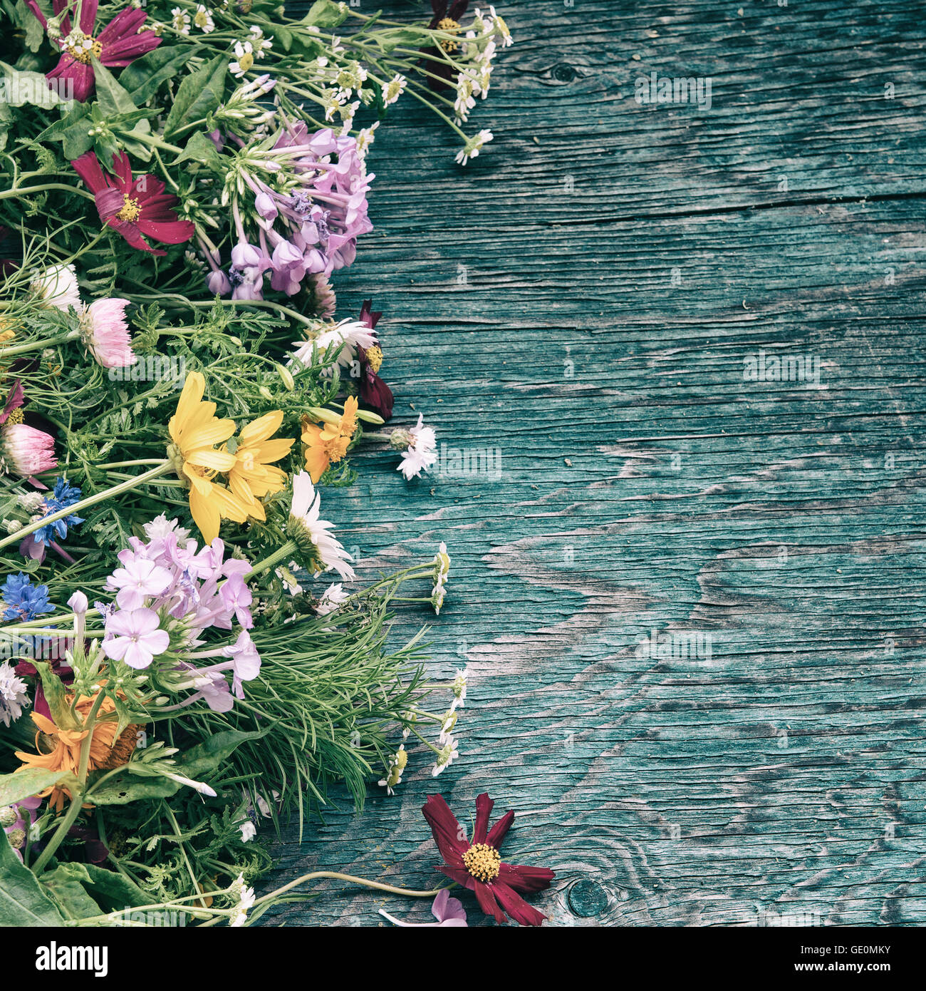 Summer flowers mock up Stock Photo - Alamy