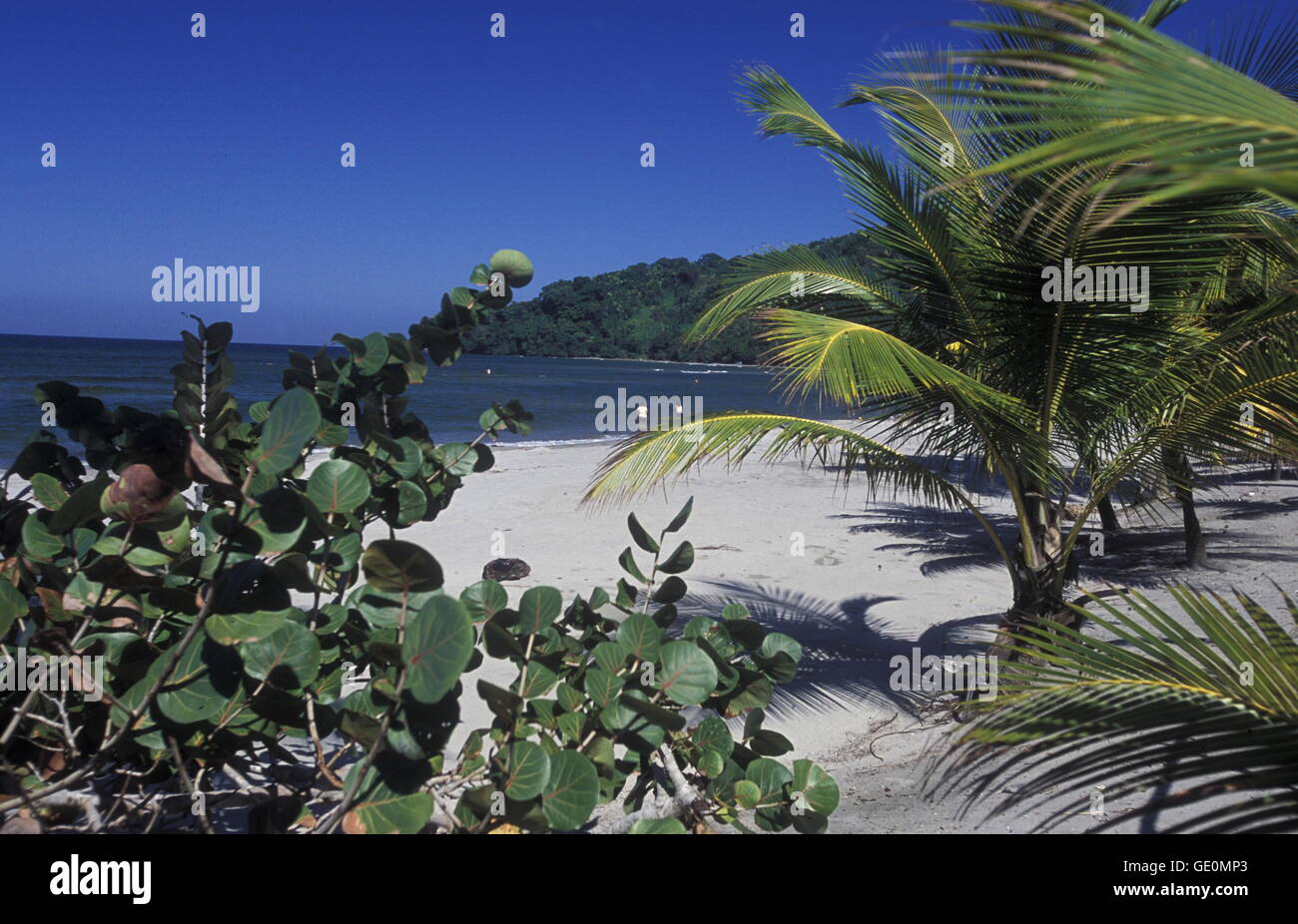 the Beach of Tela near San Pedro Sula on the caribian sea in Honduras ...