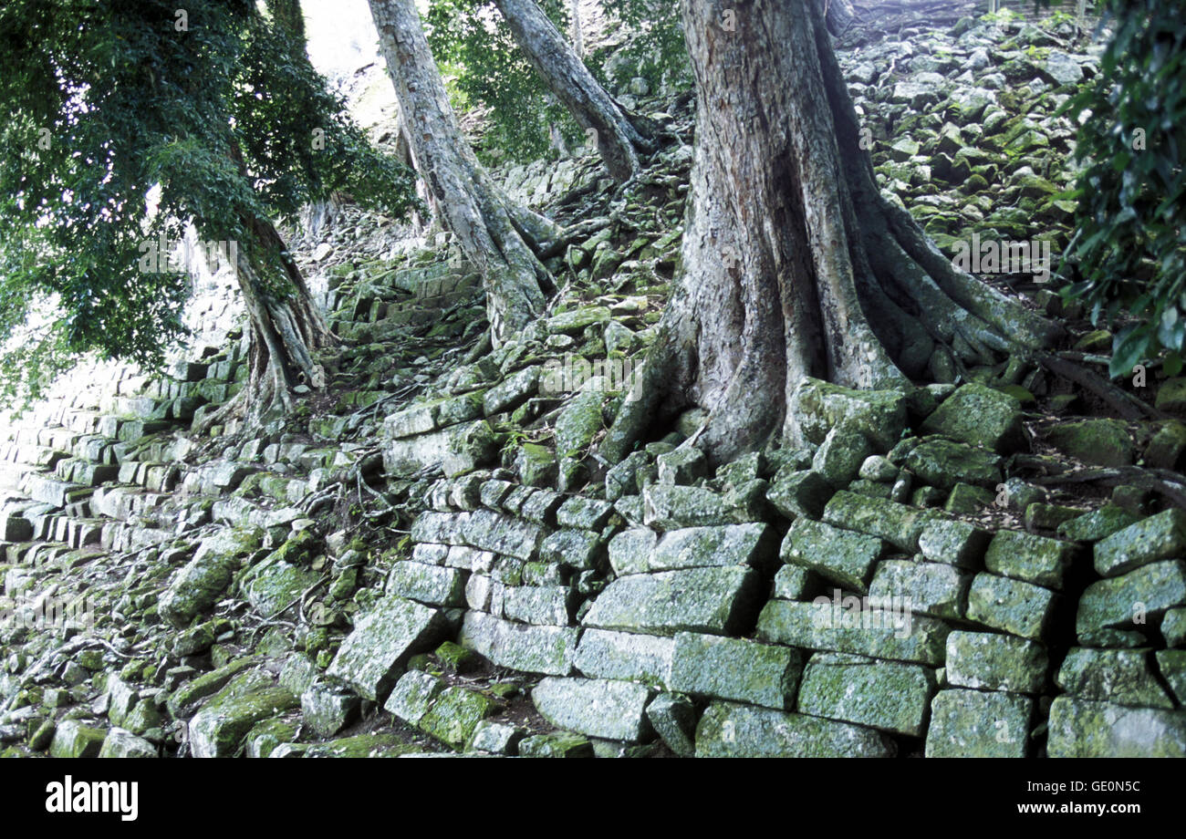The Ruins of Copan in Honduras in Central America Stock Photo - Alamy