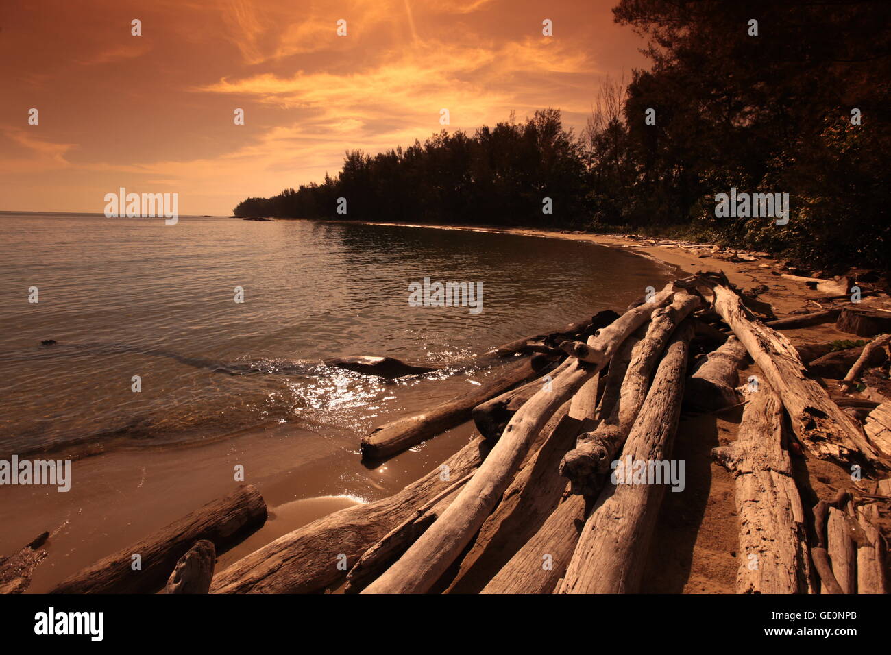 a Beach on the coast near the city of Bandar seri Begawan in the ...