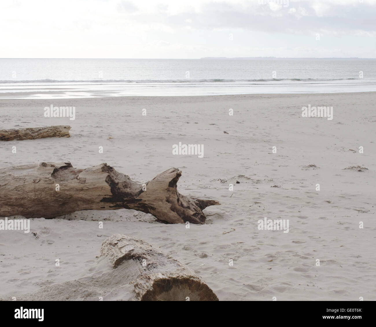 Large log on a sandy beach Stock Photo - Alamy