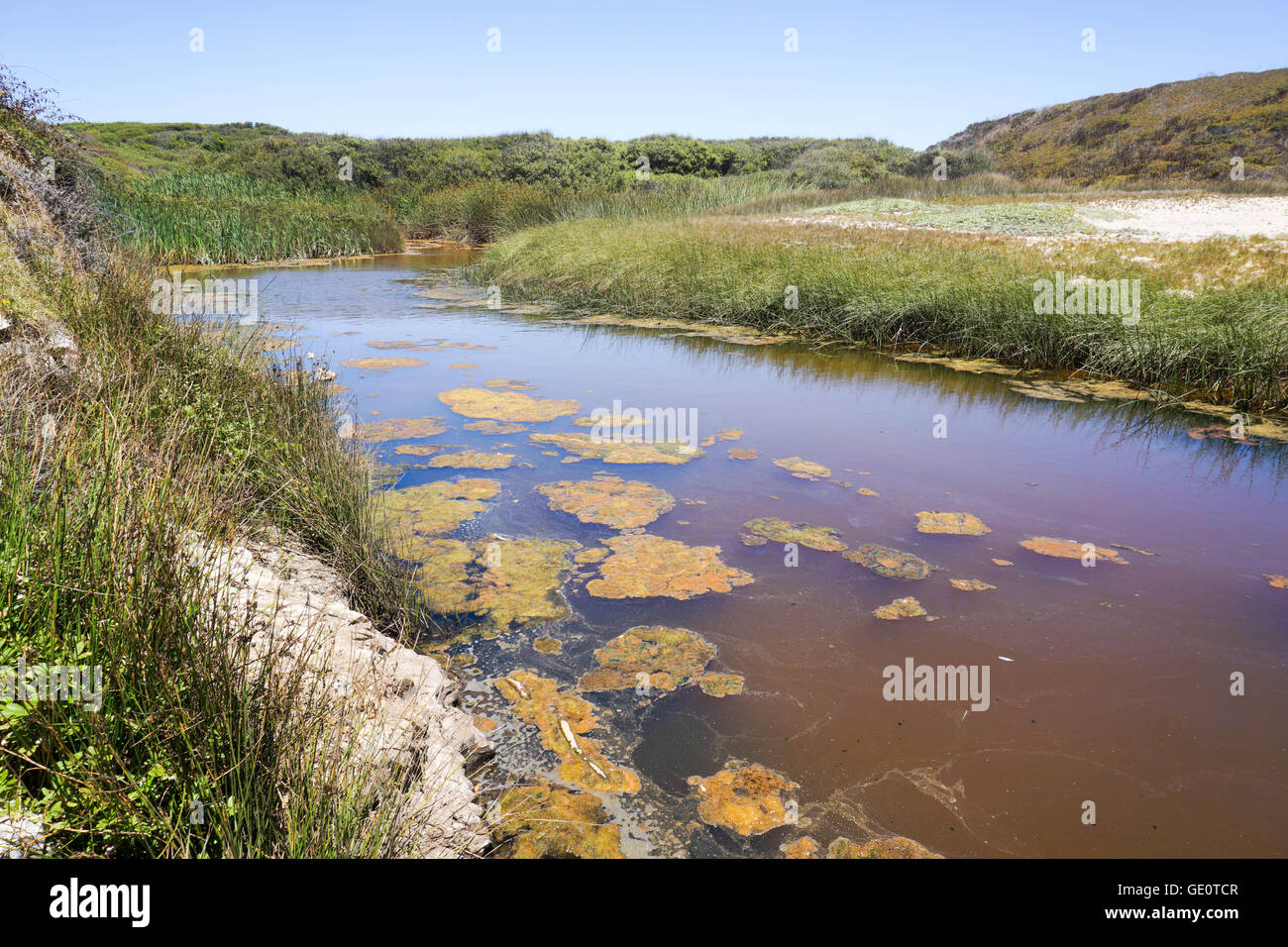 Pacific area hi-res stock photography and images - Alamy
