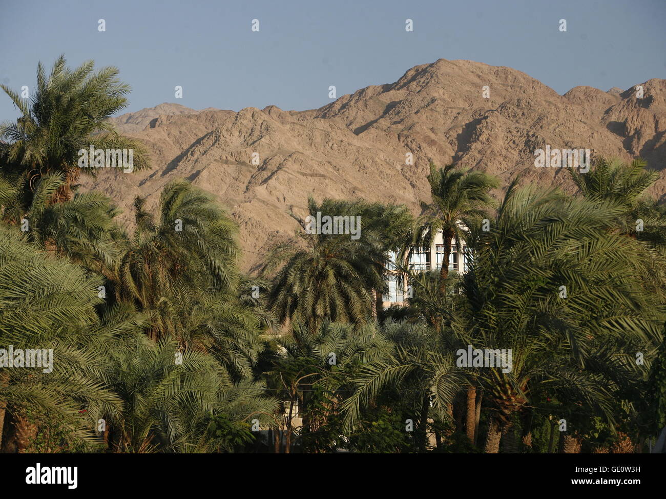 the Landscape allround the city of Aqaba on the red sea in Jordan in ...