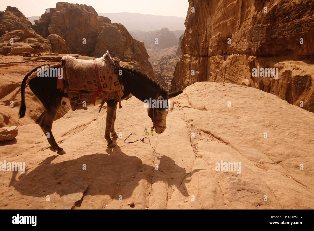 the landscape in the Temple city of Petra in Jordan in the middle east ...