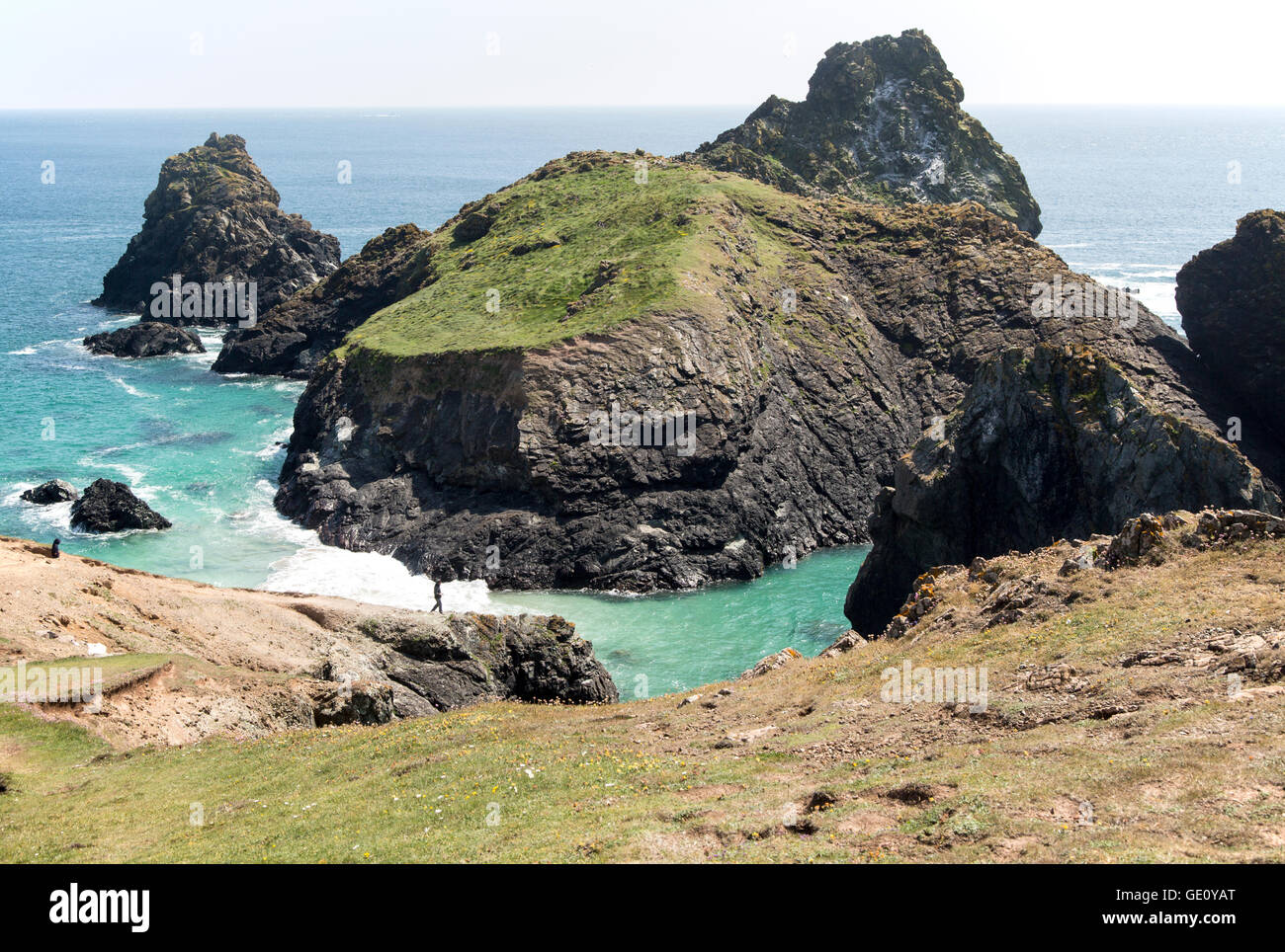Coastal scenery, Kynance Cove, Lizard peninsula, Cornwall, England, UK ...