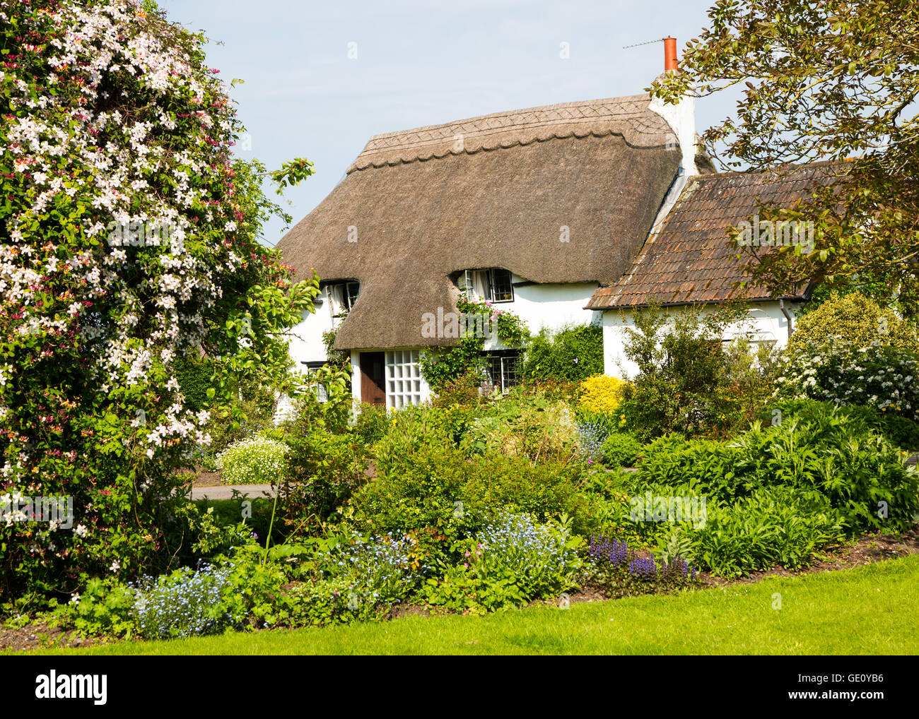 Pretty historic thatched cottage hi-res stock photography and images ...