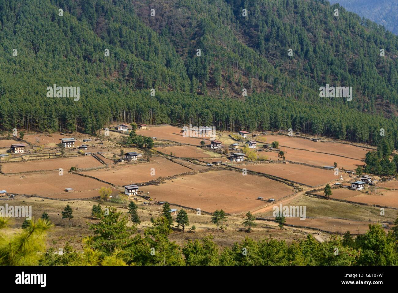 Phobjika valley hi-res stock photography and images - Alamy