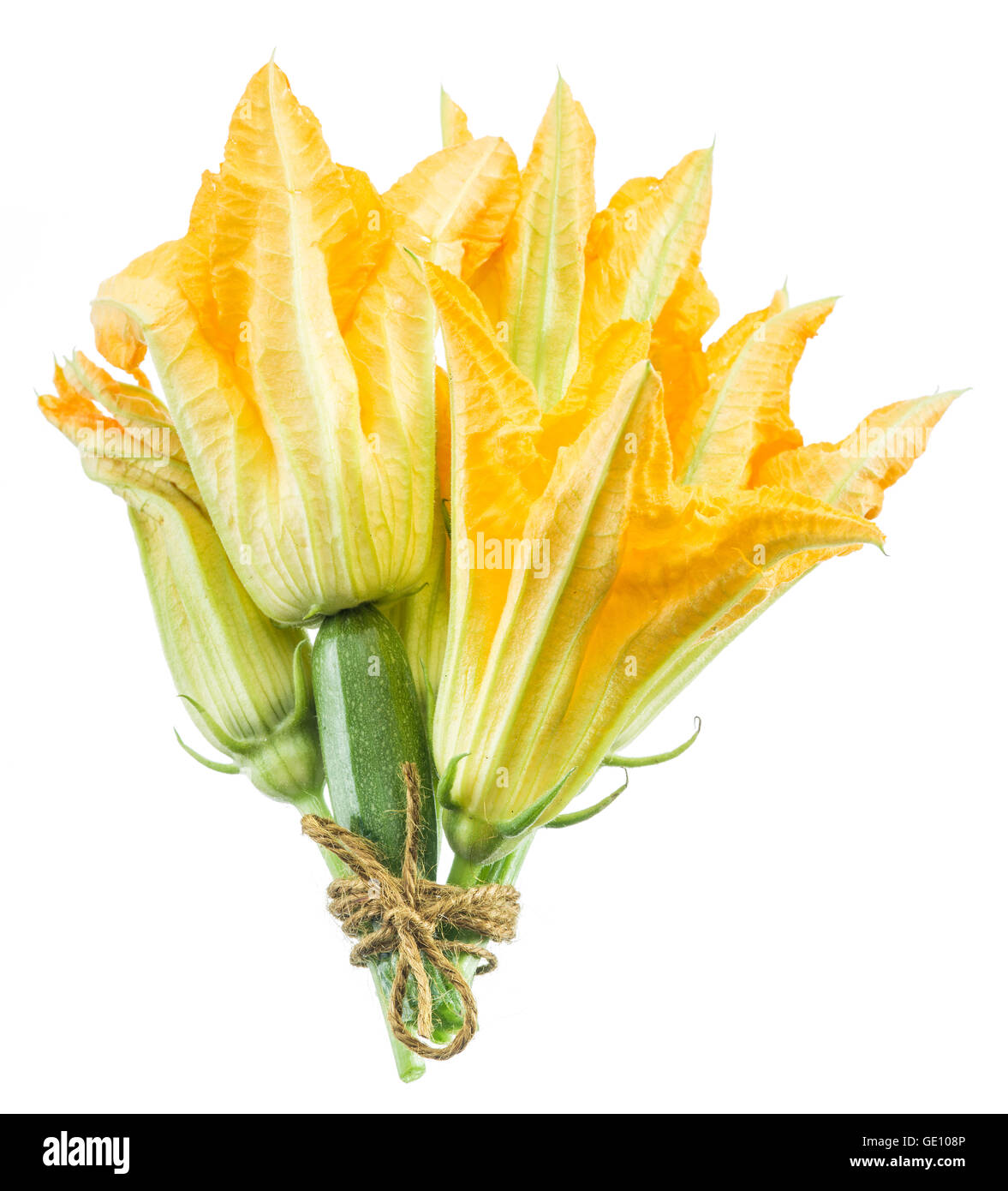 Zucchini flowers on a white background Stock Photo - Alamy