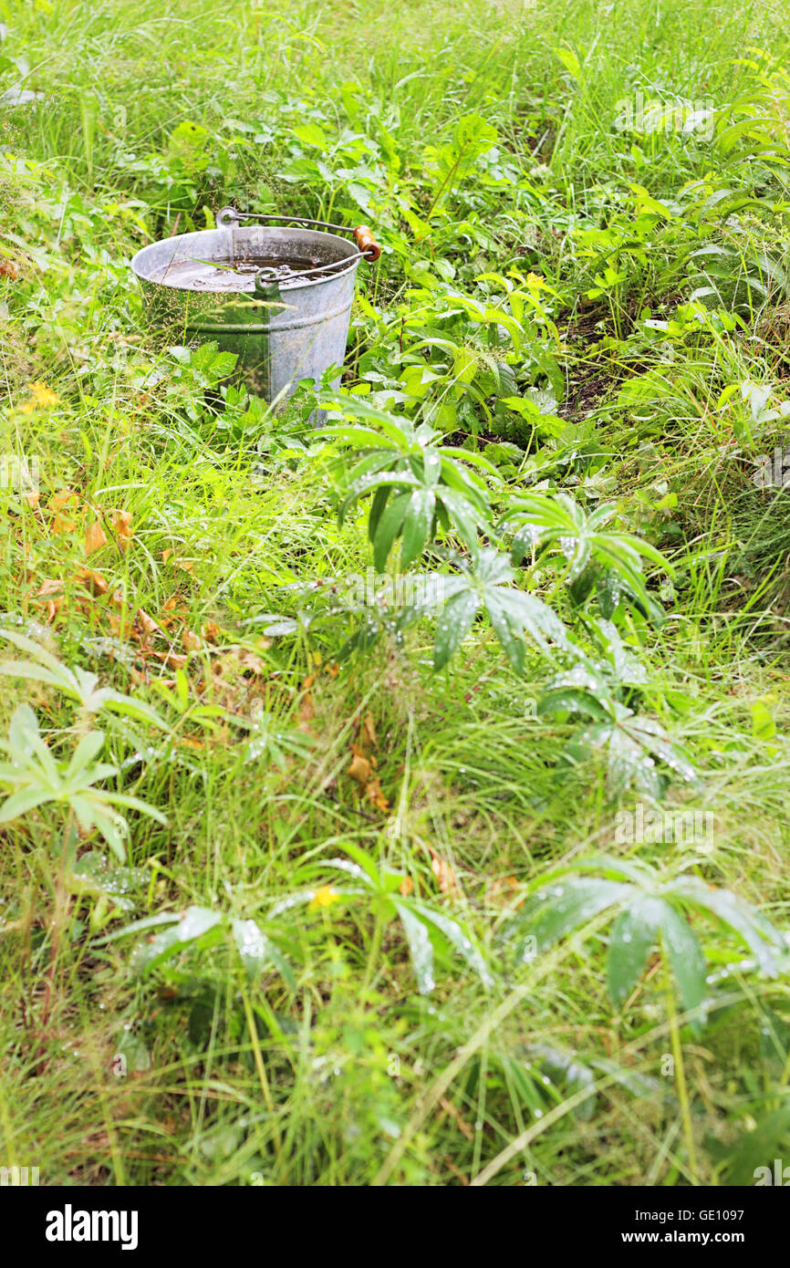 Bucket rain water outdoors hi-res stock photography and images - Alamy