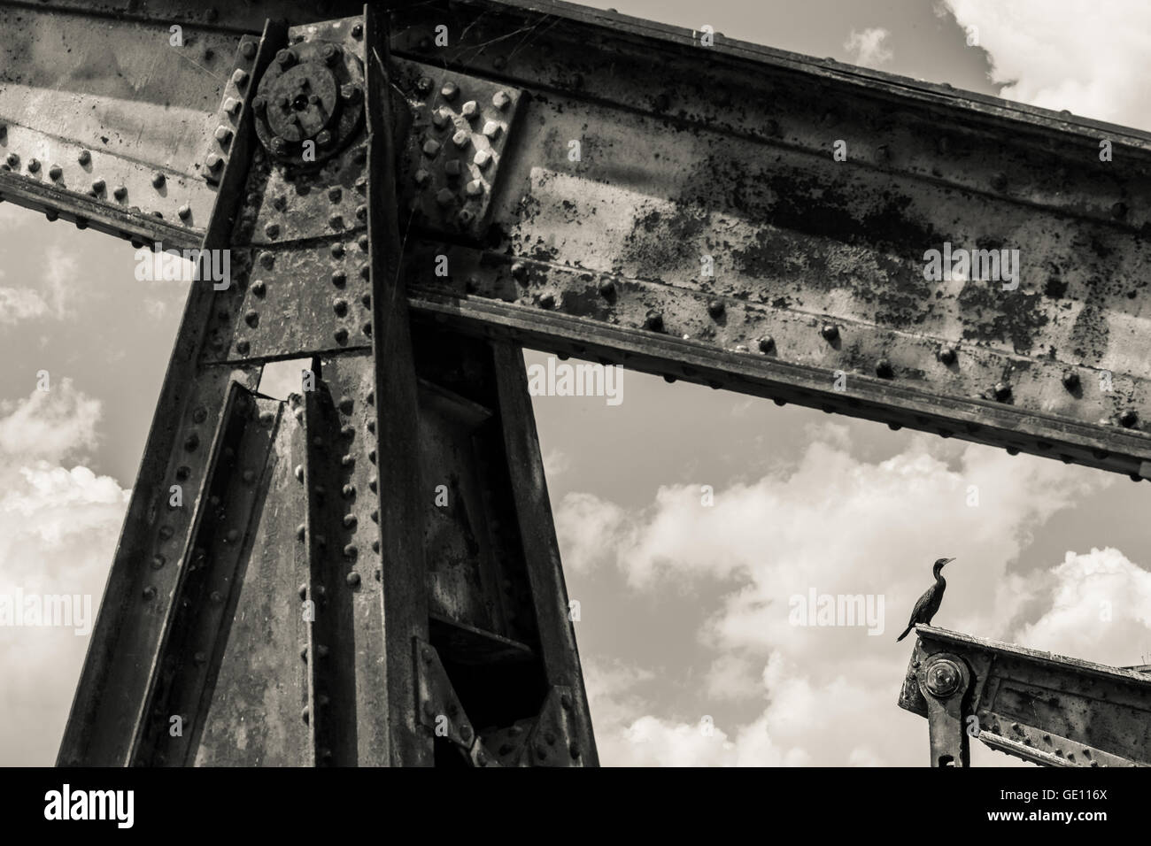 A bird sits on an iron lever used to raise and lower ramps for ...