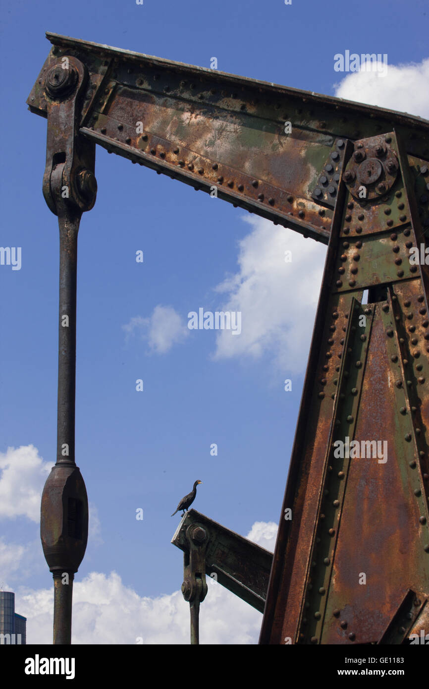 A bird sits on an iron lever used to raise and lower ramps for ...