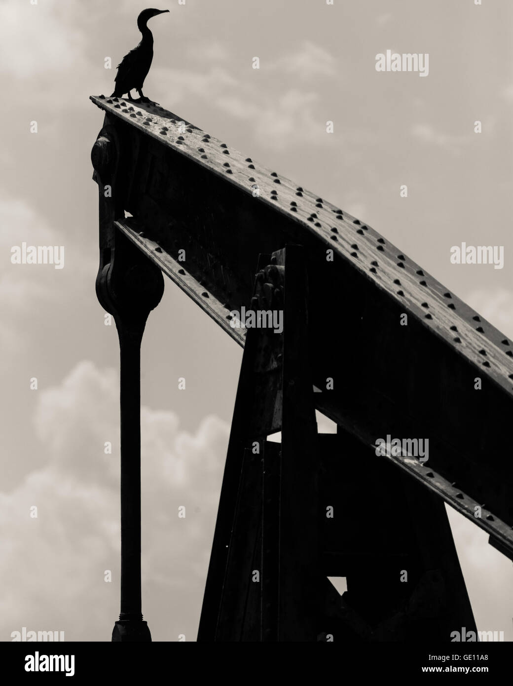 Made by bird hi-res stock photography and images - Alamy