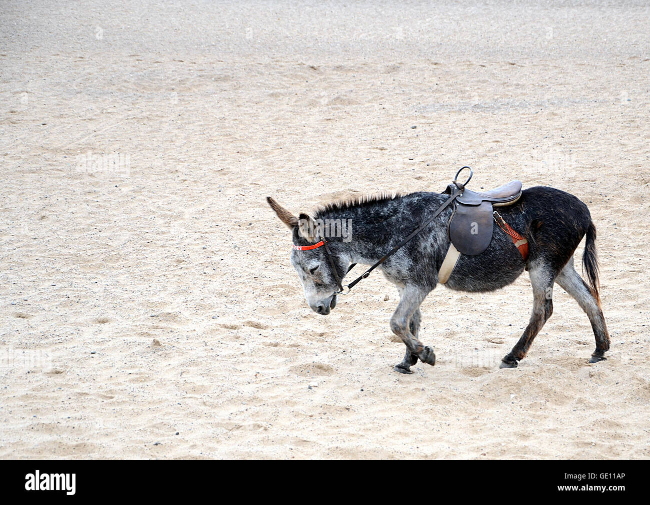 Sad images hi-res stock photography and images - Alamy