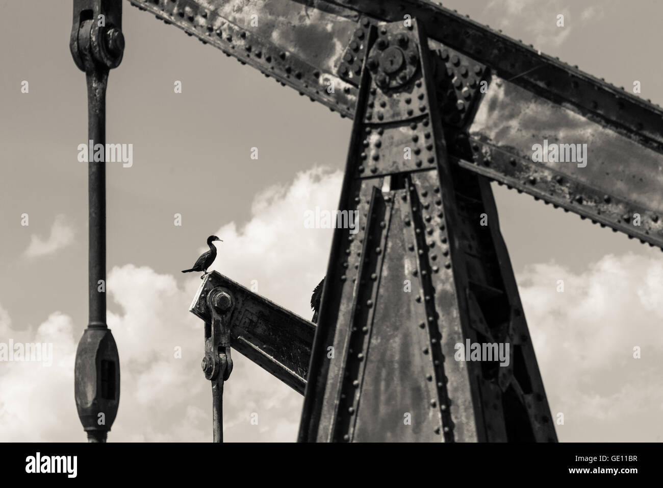 A bird sits on an iron lever used to raise and lower ramps for ...