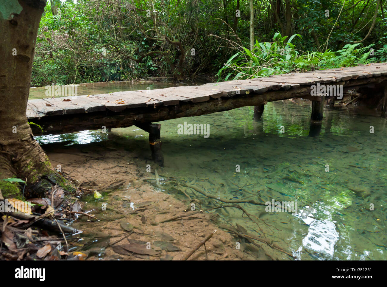 Garden pond waterfall bridge hi-res stock photography and images - Alamy
