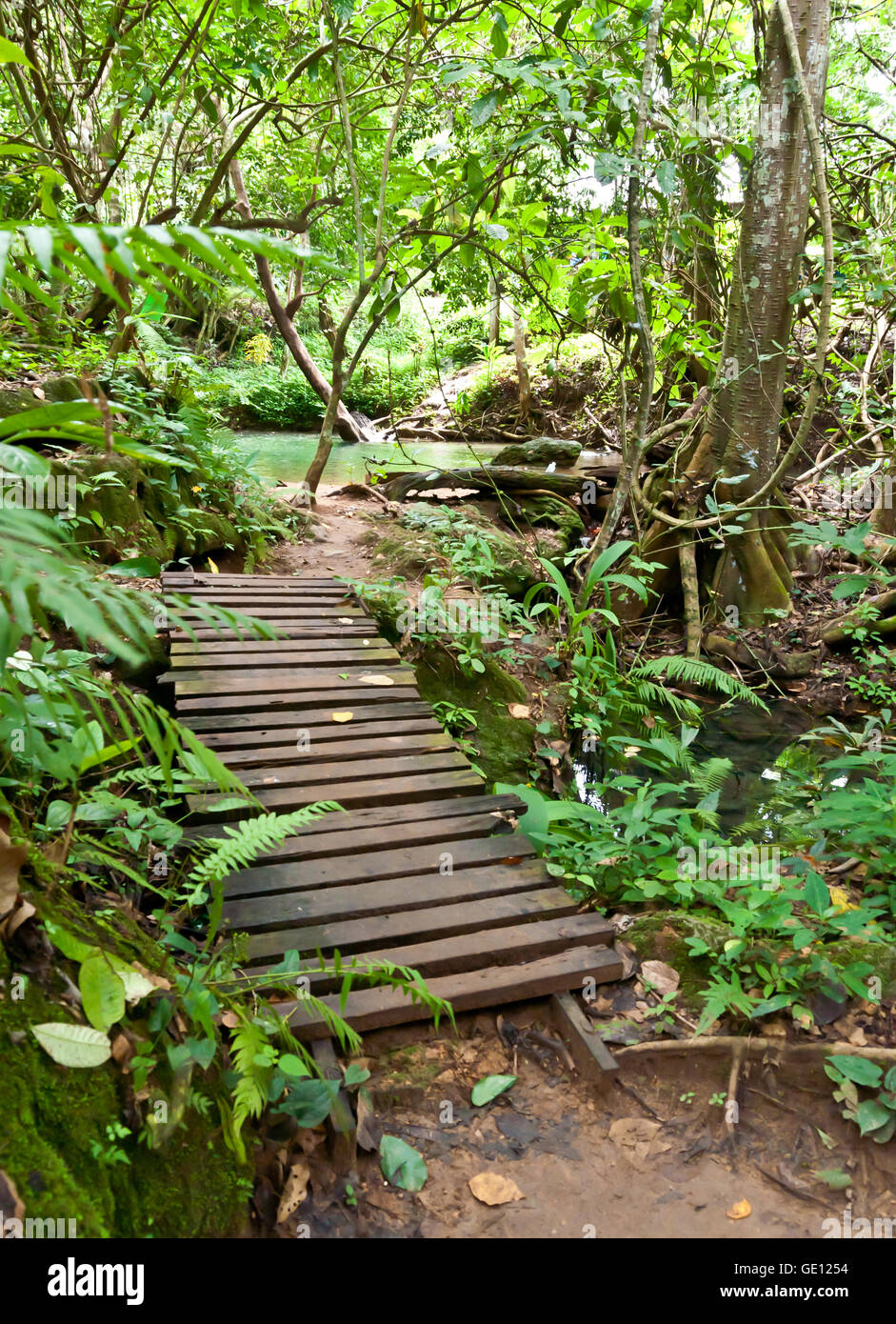 wood bridge to the waterfall in forest Stock Photo - Alamy