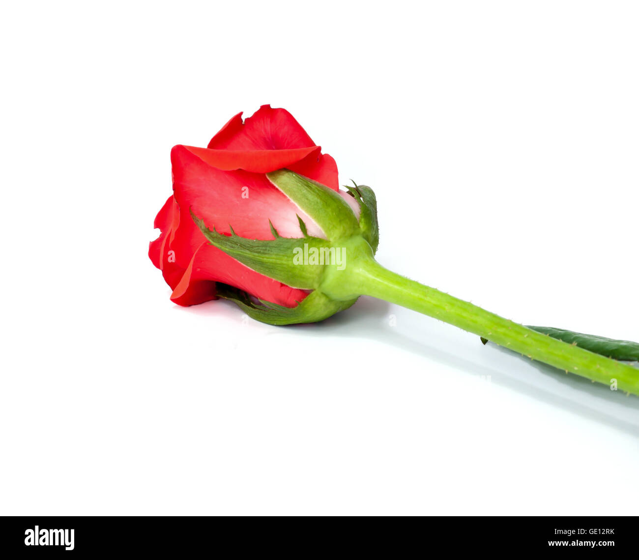 The passion live Cut Out Stock Images & Pictures - Alamy