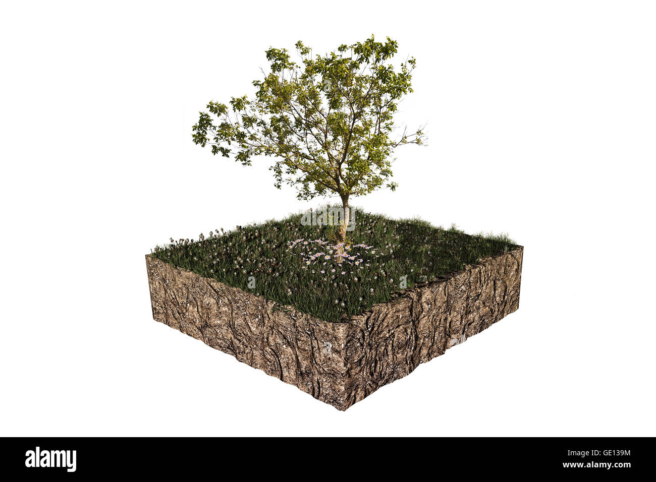 3d illustration of a soil slice isolated on white background Stock ...