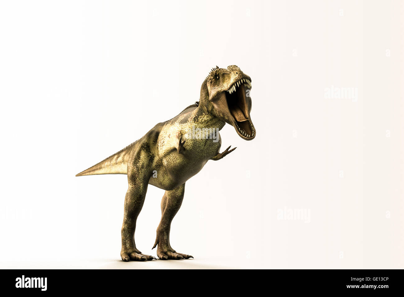 3d illustration of a Tyrannosaurus Rex isolated on white background ...