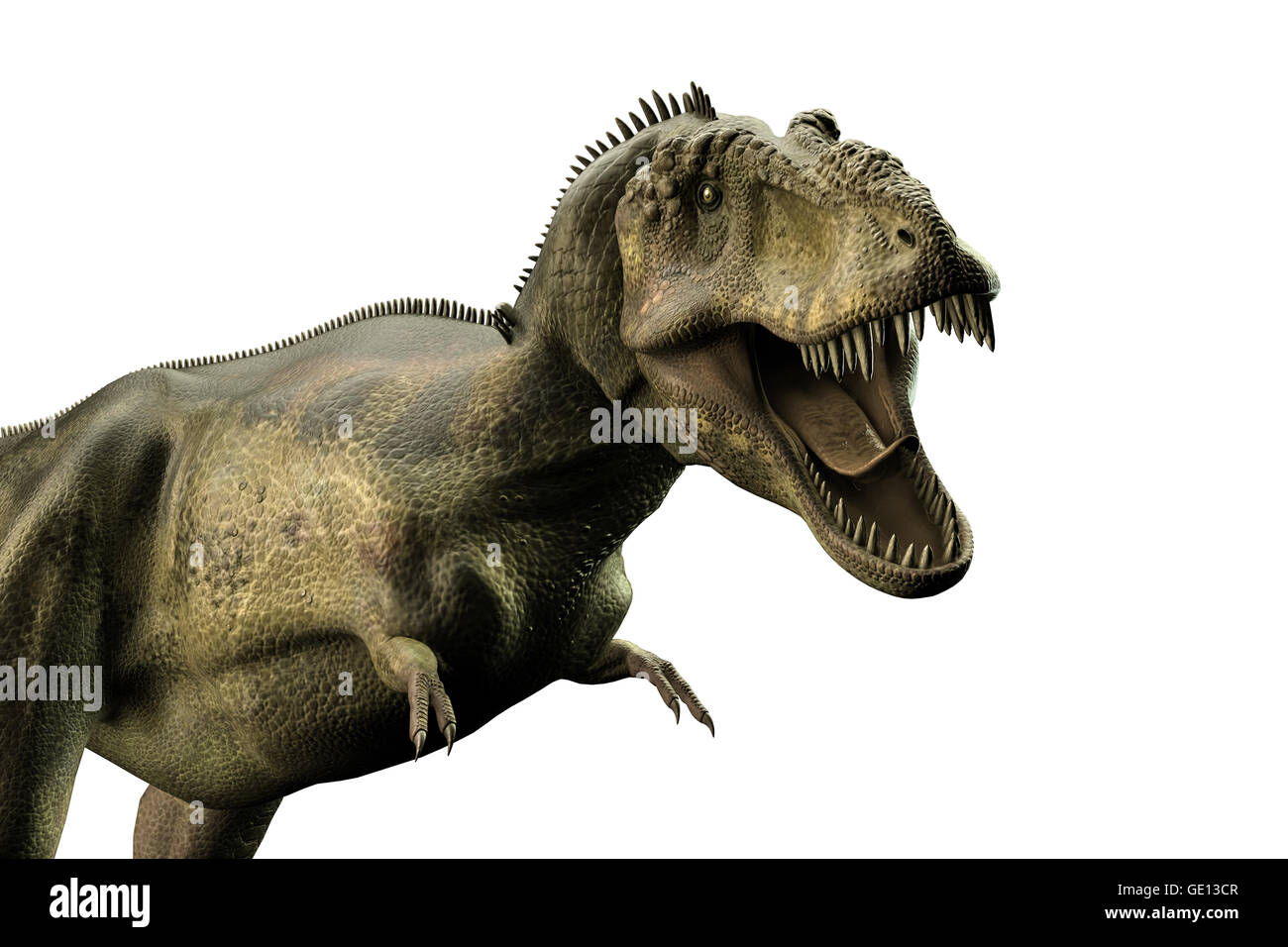 3d illustration of a Tyrannosaurus Rex isolated on white background ...