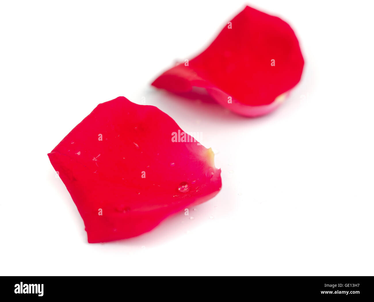 Live on the water Cut Out Stock Images & Pictures - Alamy