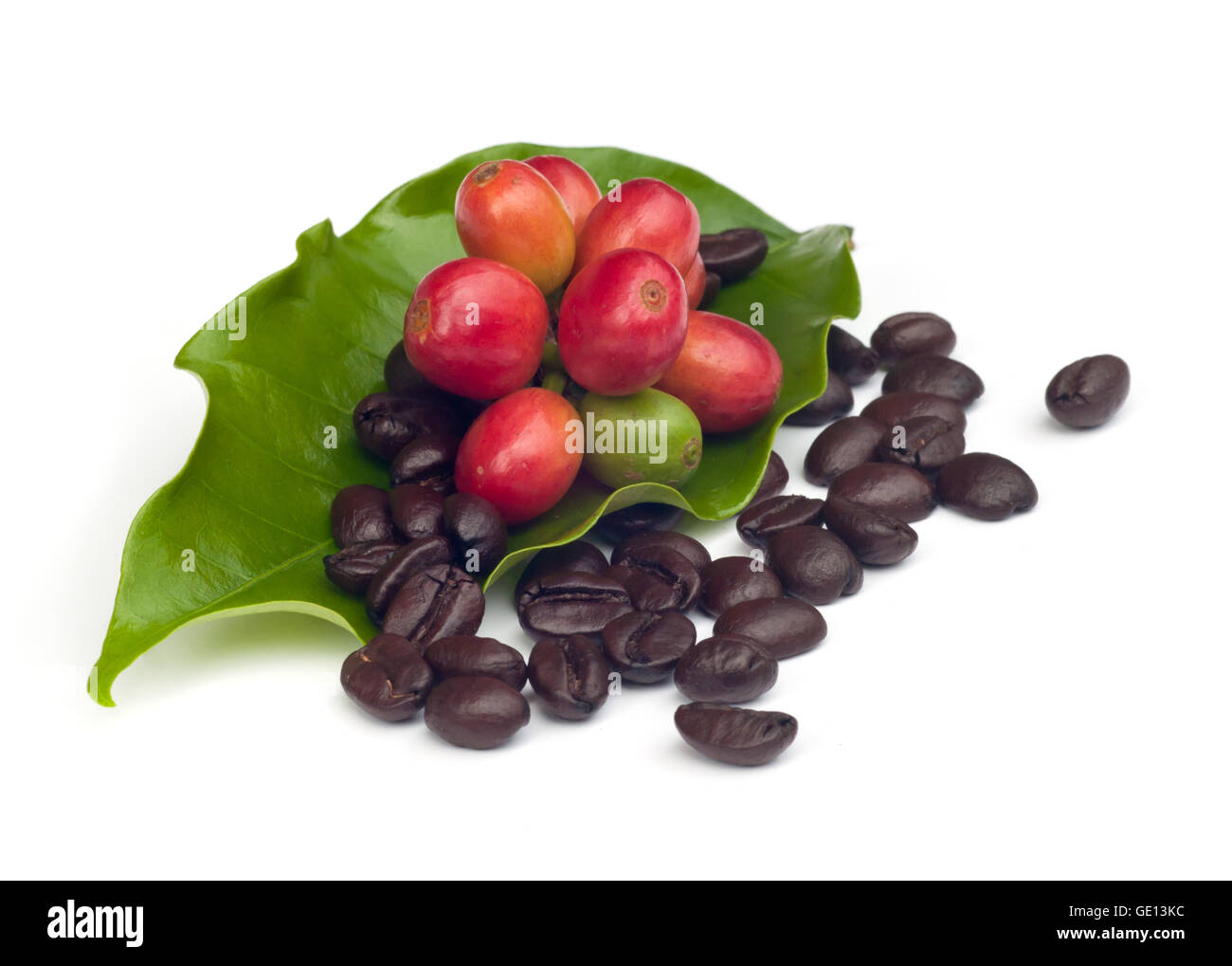 coffee beans and red ripe coffee Isolated on white background Stock ...