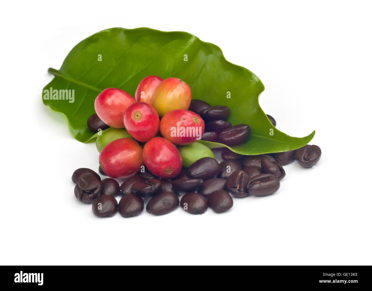 coffee beans and red ripe coffee Isolated on white background Stock ...