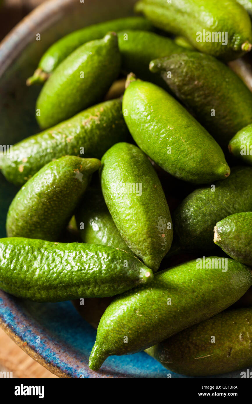 Australian finger lime citrus australasica hi-res stock photography and ...