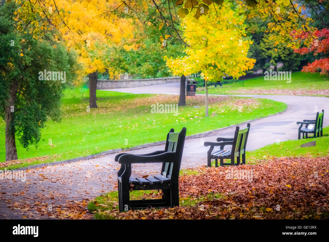 Three empty benches in a park in autumn Stock Photo - Alamy