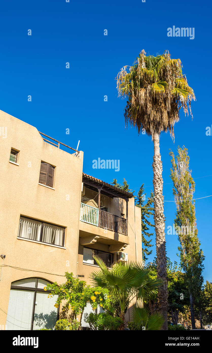 Palm tree in paphos hi-res stock photography and images - Alamy