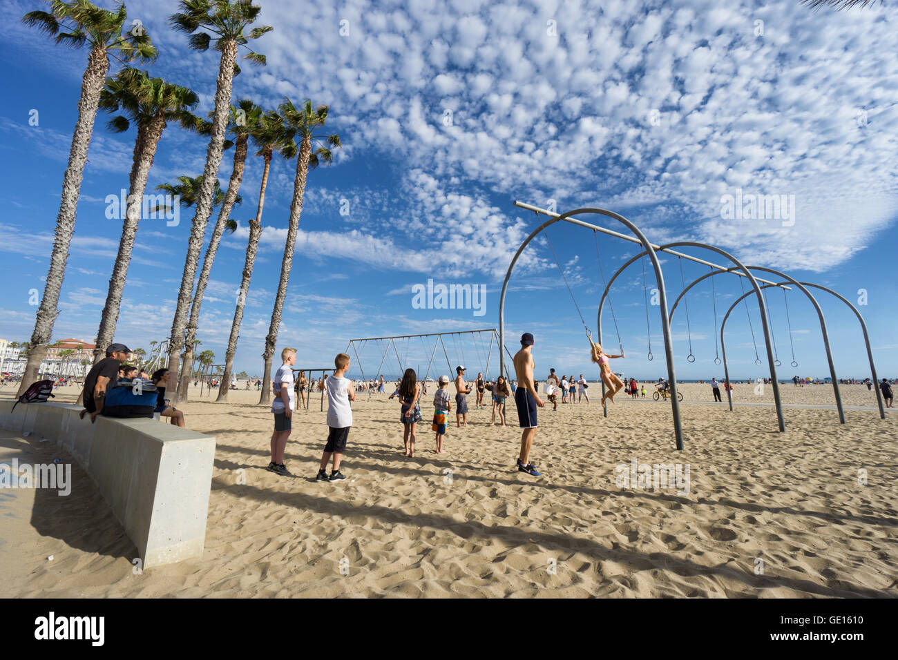 Famous muscle beach hi-res stock photography and images - Alamy