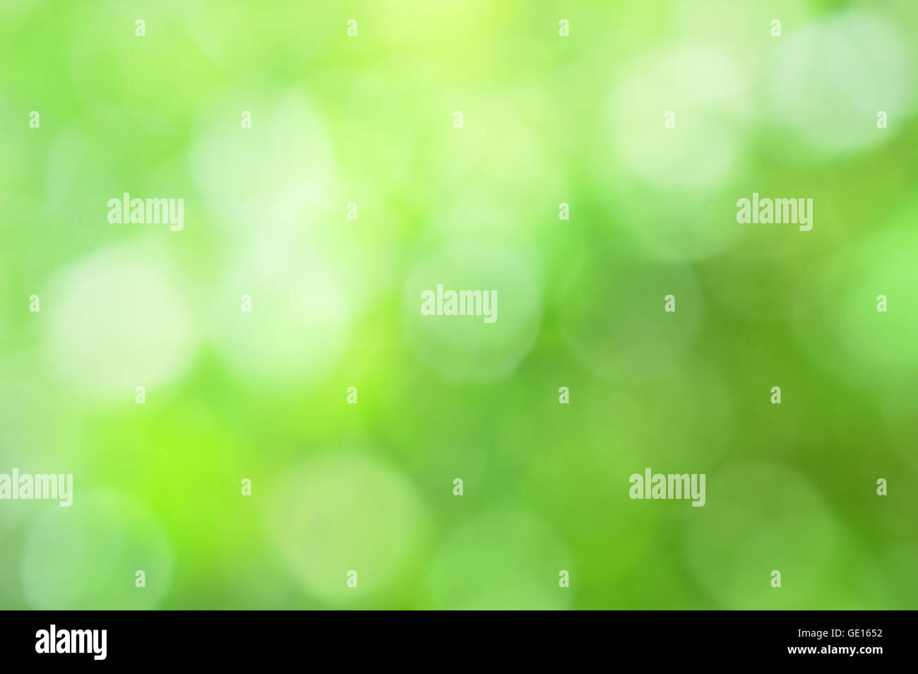 Bokeh green background hi-res stock photography and images - Alamy
