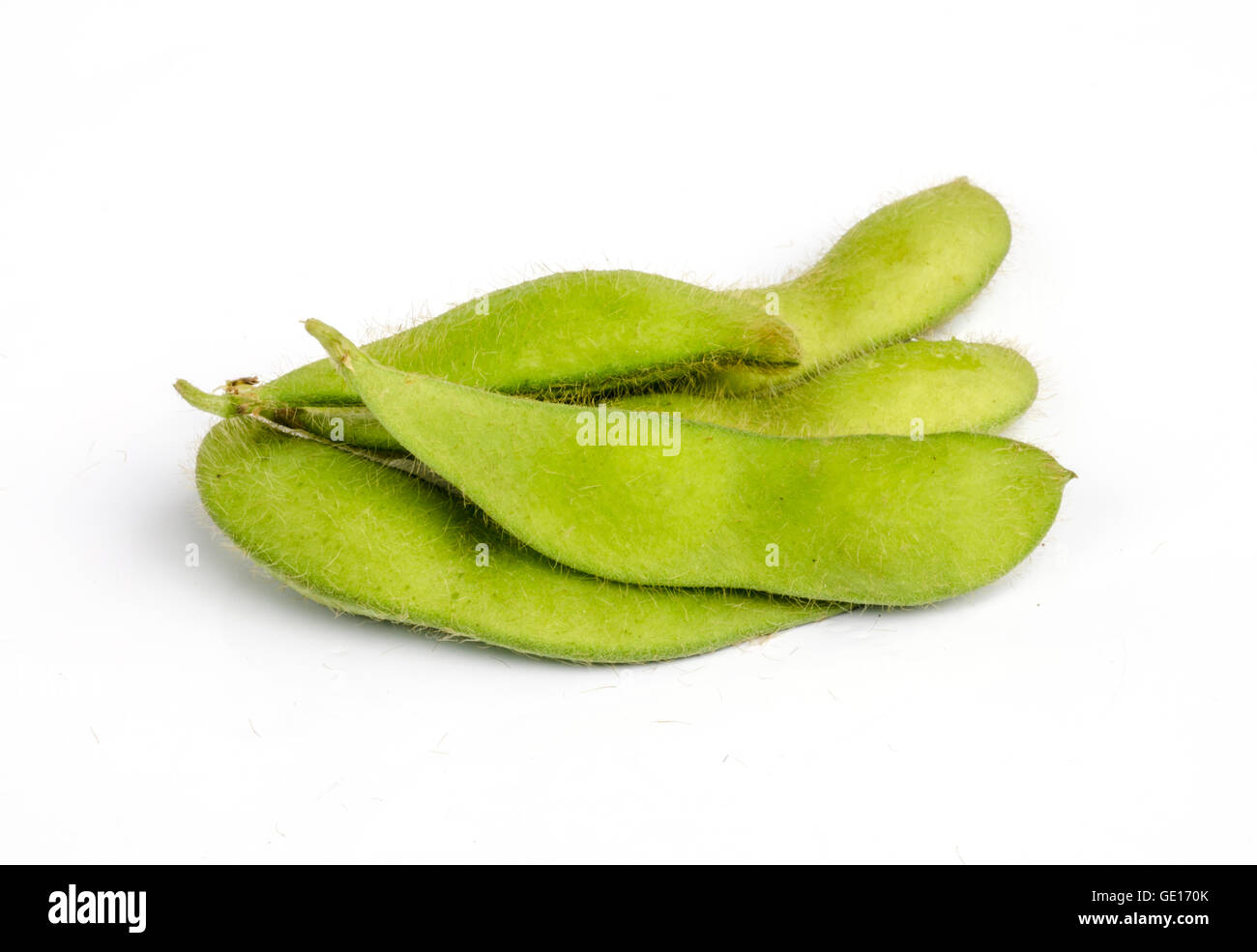 Soybean material Cut Out Stock Images & Pictures - Alamy