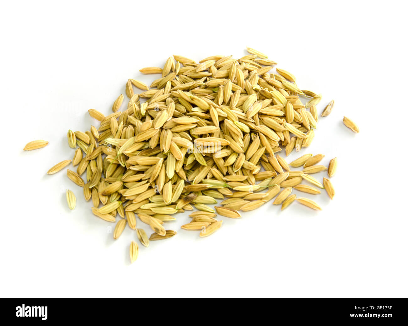 paddy rice seed on a white background Stock Photo - Alamy