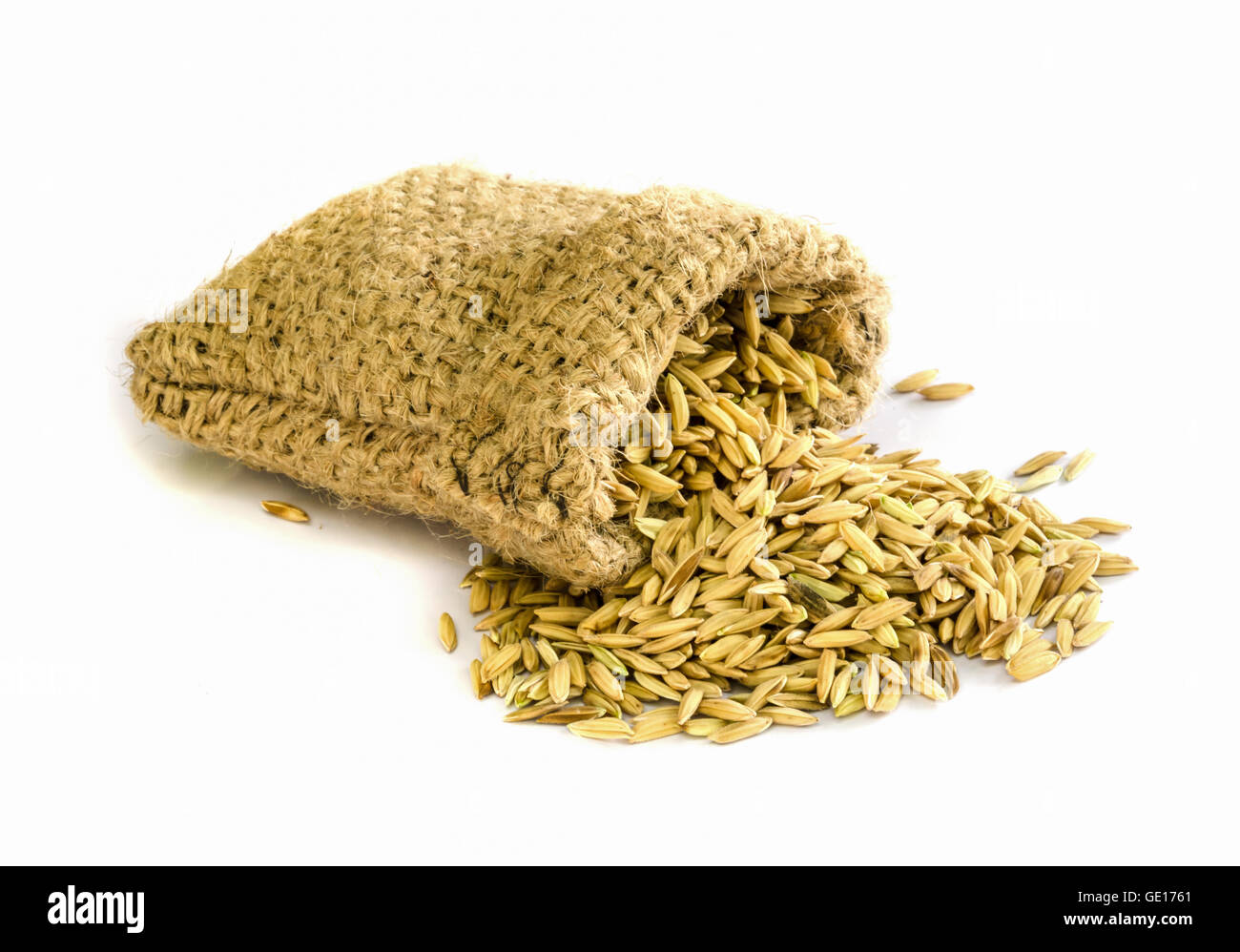 Rice cultivation in rice paddy Cut Out Stock Images & Pictures - Alamy