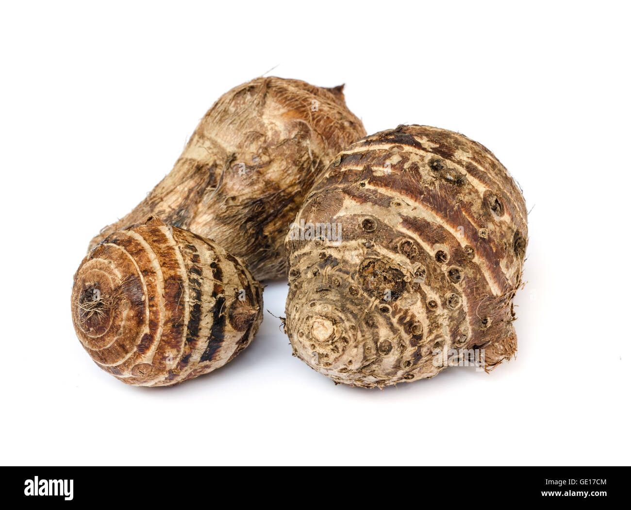 taro roots isolated on white background Stock Photo - Alamy