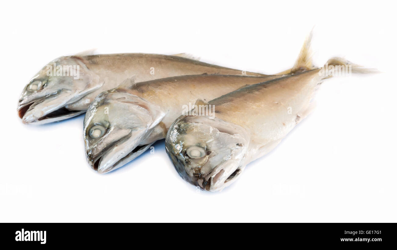 Fresh mackerel fish isolated on the white background Stock Photo - Alamy