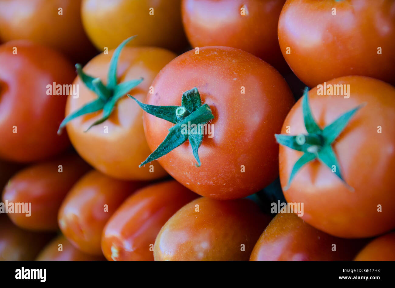 Close up of tomato vegetable in full frame Background Stock Photo - Alamy