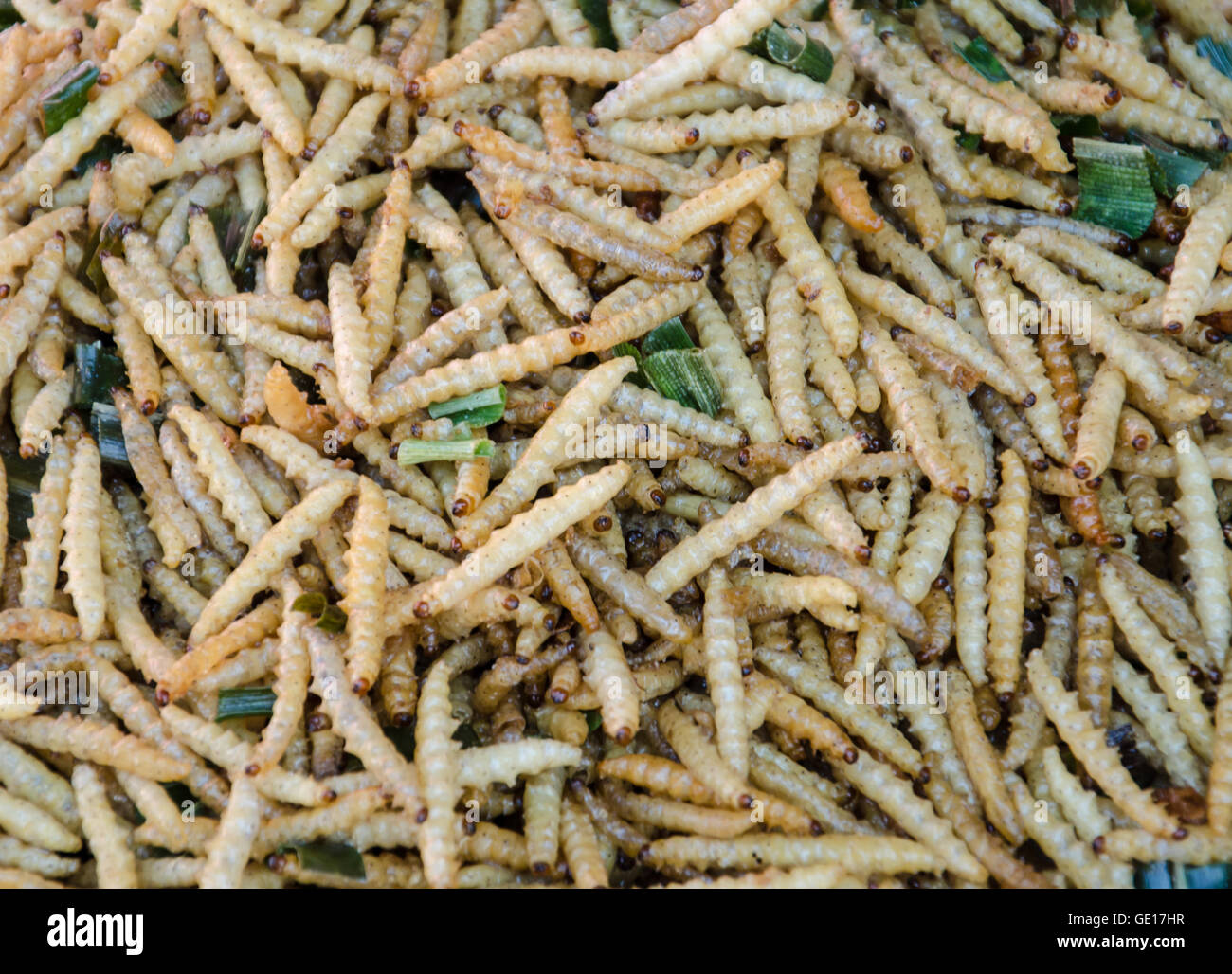 Dried caterpillars to eat hi-res stock photography and images - Alamy