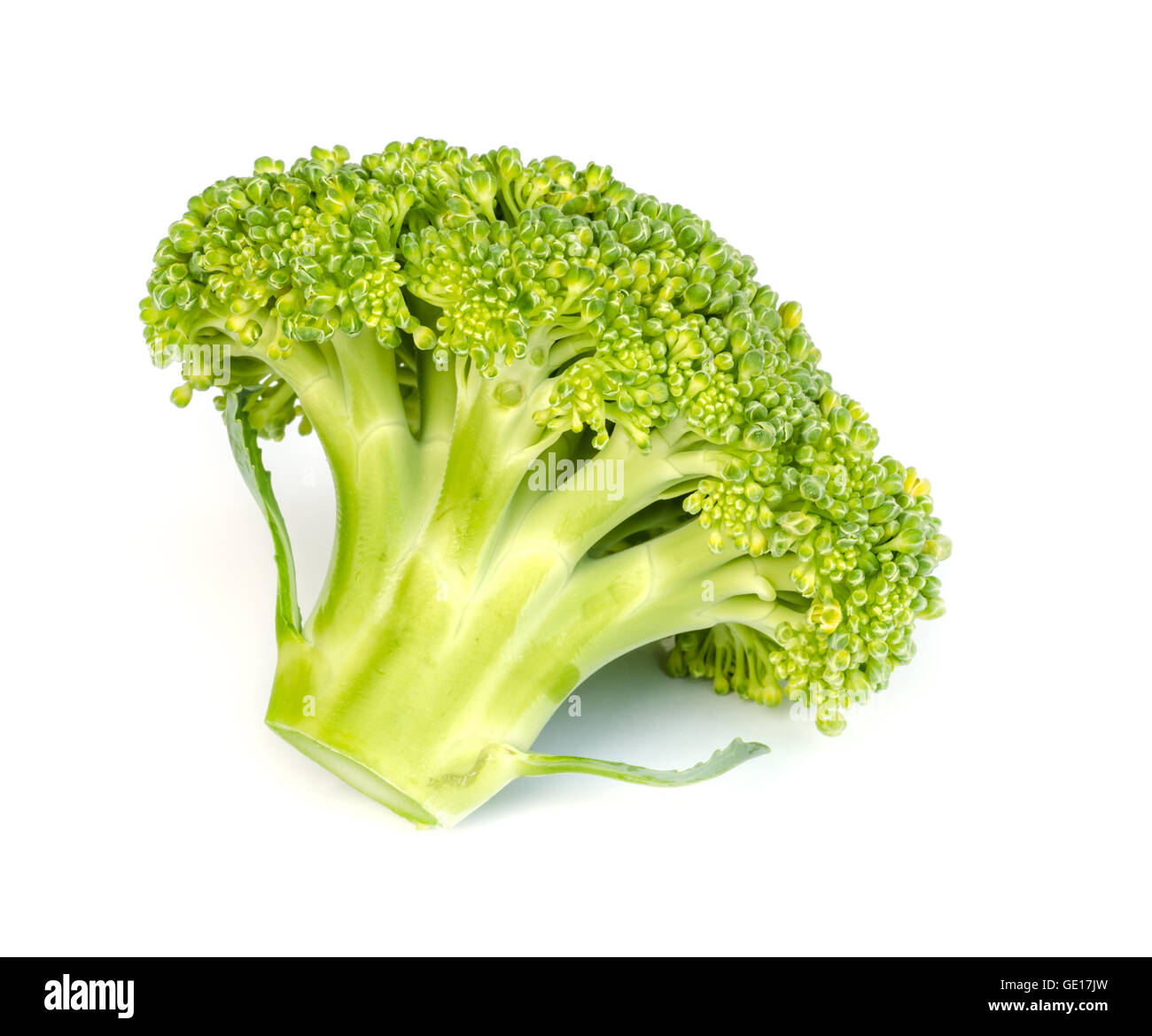 Broccoli isolated on white background Stock Photo - Alamy