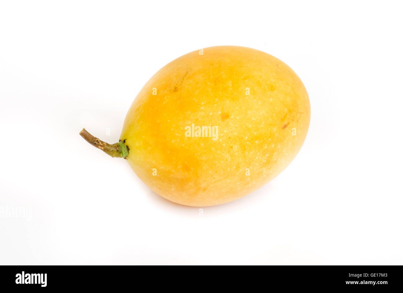 Mayongchid, Maprang ,Marian Plum and Plum Mango ,Exotic Thai Fruit ...