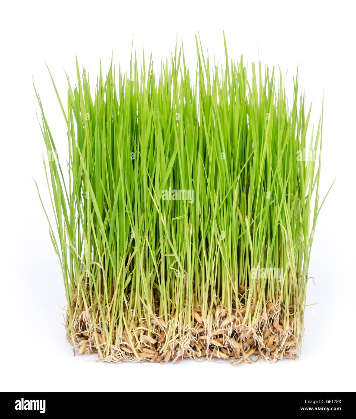 Farmland detail Cut Out Stock Images & Pictures - Alamy